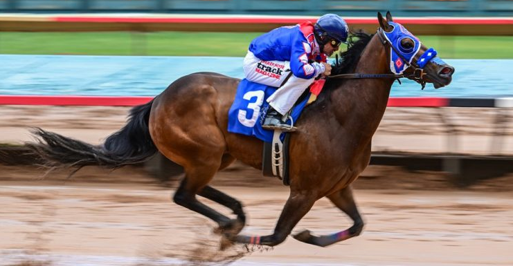 Basics on Horse Racing You Need to Know - horseracing1 - people - Crabgrass