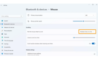 How to change scroll speed in Windows 11 - mousescrolltest - people ...
